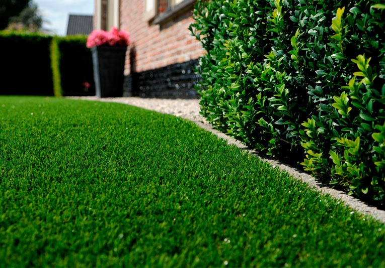 Cómo tener un pasto verde | Novedades
